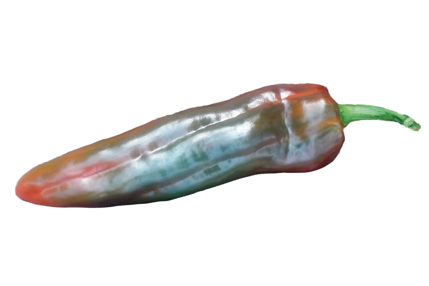 Seeds of Pepper | CapGen Seeds