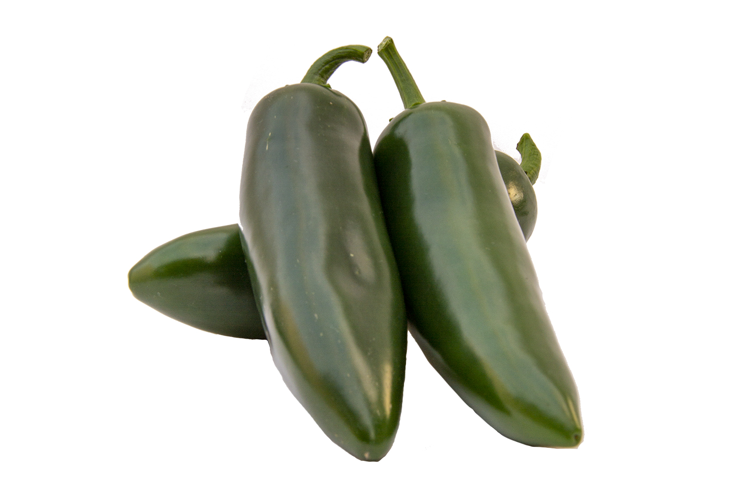 Seeds of Hot Pepper | CapGen Seeds