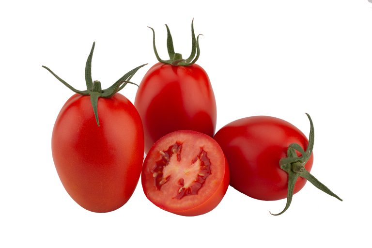 Seeds of Tomato | CapGen Seeds