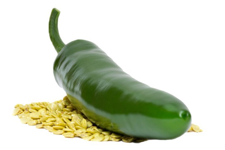 Seeds of Hot Pepper | CapGen Seeds