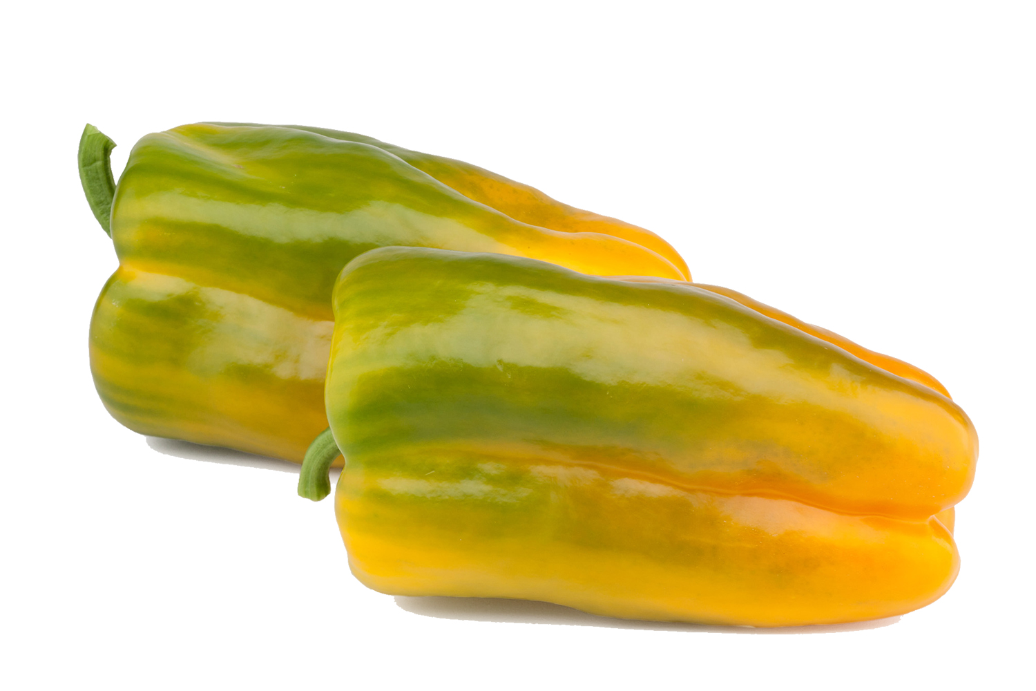 Lamuyo Pepper Soleus CapGen Seeds Capital Genetic lamuyo-pepper-soleus-capgen-seeds-capital-genetic