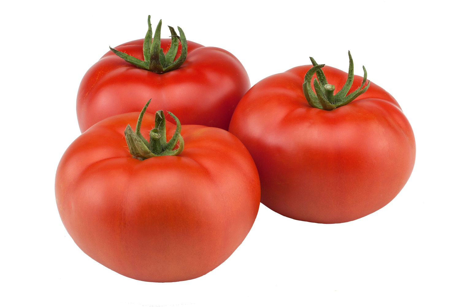 Semences de Tomate | CapGen Seeds