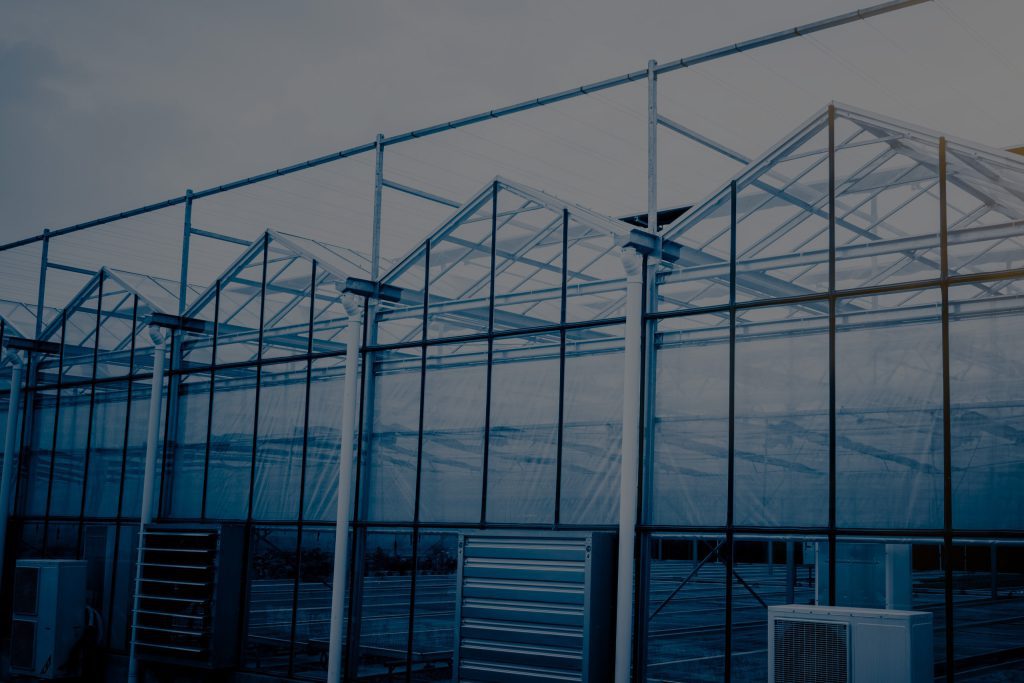 About CapGen Seeds - Capital Genetic