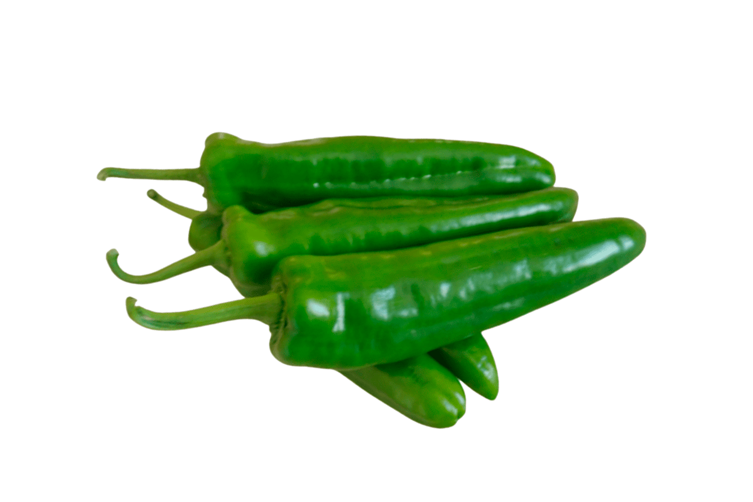 Seeds of Pepper | CapGen Seeds