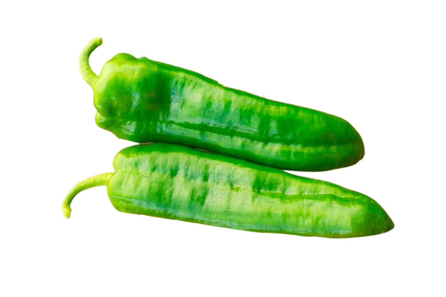 Seeds of Pepper | CapGen Seeds