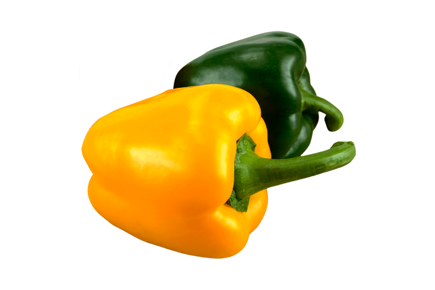 Seeds of Pepper | CapGen Seeds
