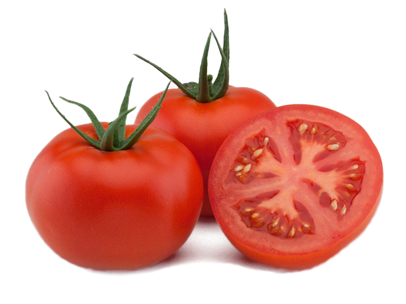 Tomate Calibre 3 > Selina | CapGen Seeds